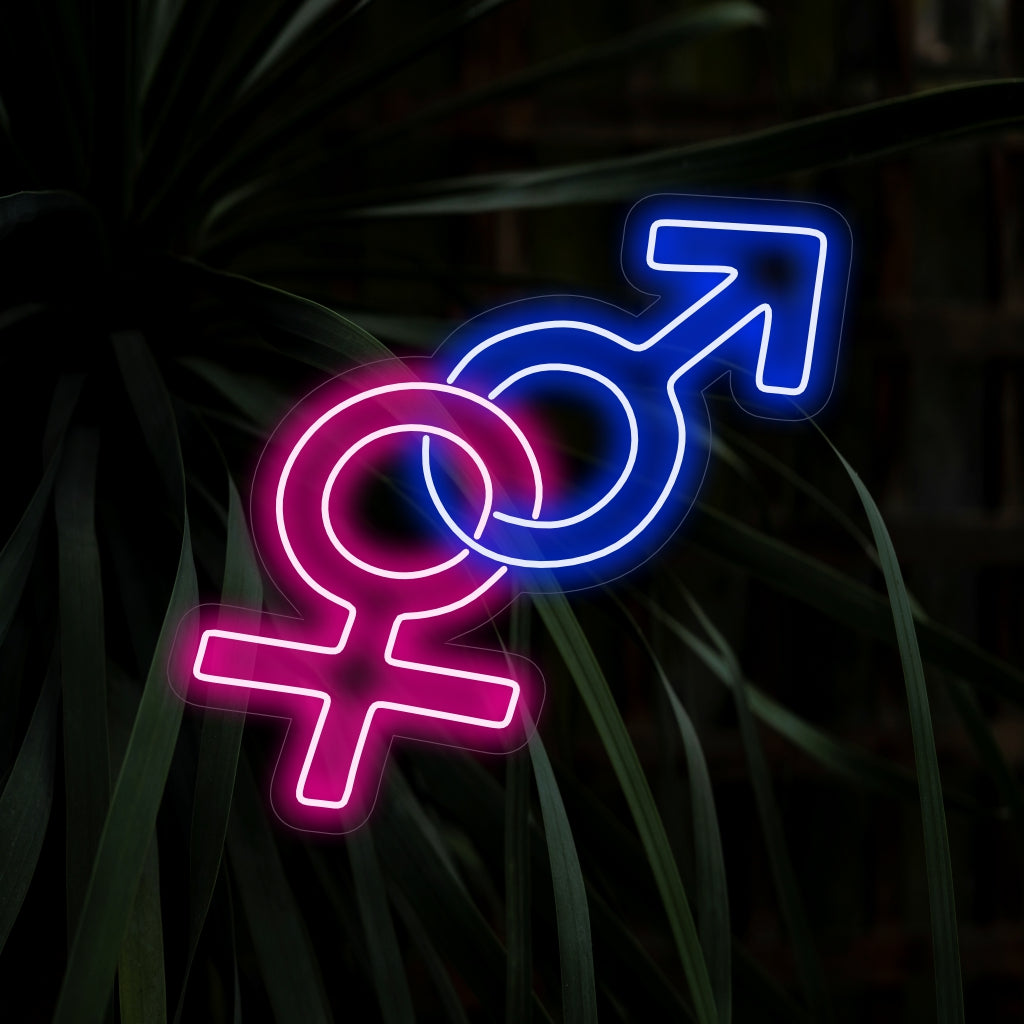 Harmonie der Identitäten: Geschlecht Symbol Neon Zeichen | The Art Neon